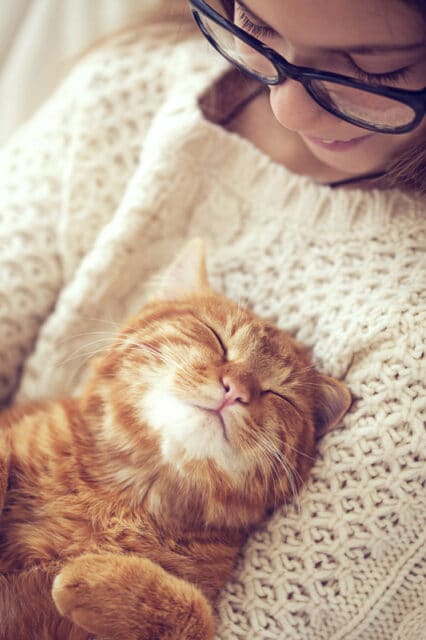 14 Sleeping Cat Positions And What They Reveal About Your Kitty