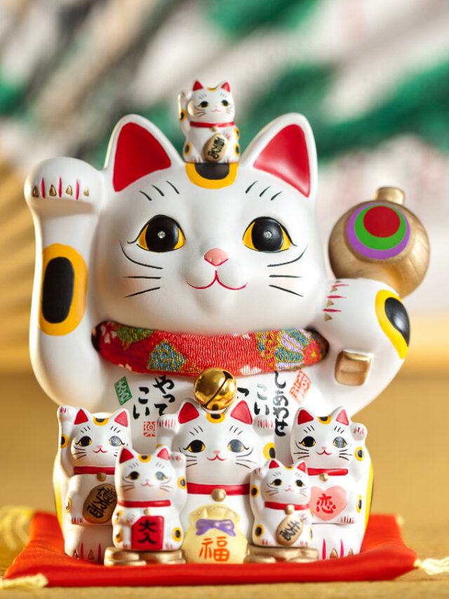 13 Japanese Cat Names Inspired by Coloring, Anime and More Story - The ...