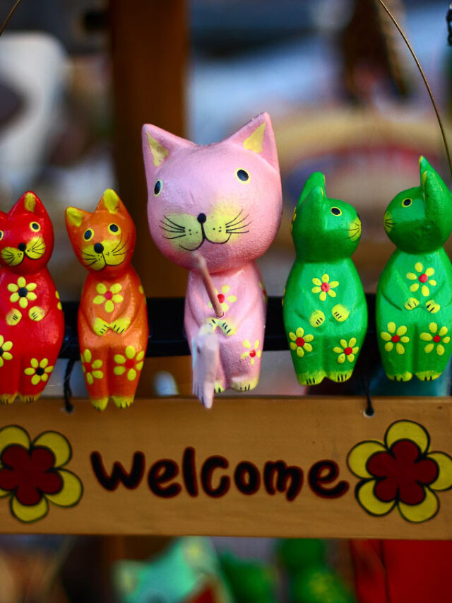 13 Cute Korean Cat Names You’ll Love Story - The Discerning Cat