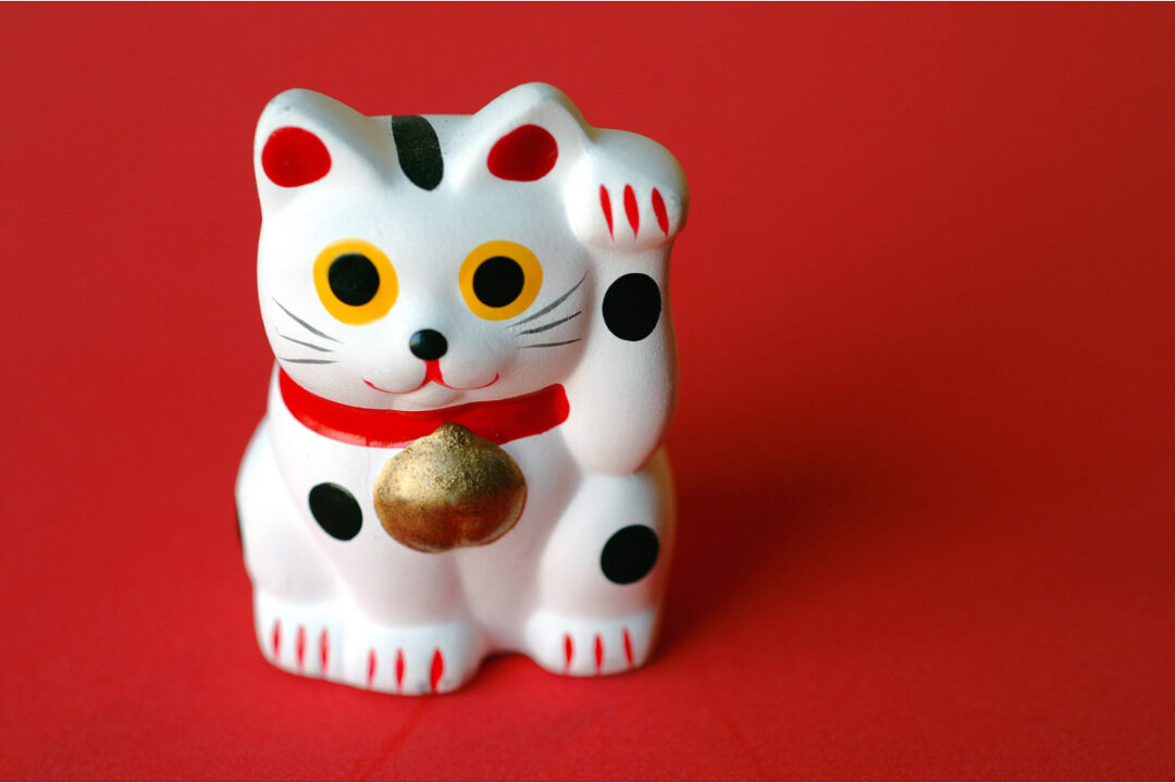 13 Japanese Cat Names Inspired by Coloring, Anime and More I Discerning Cat