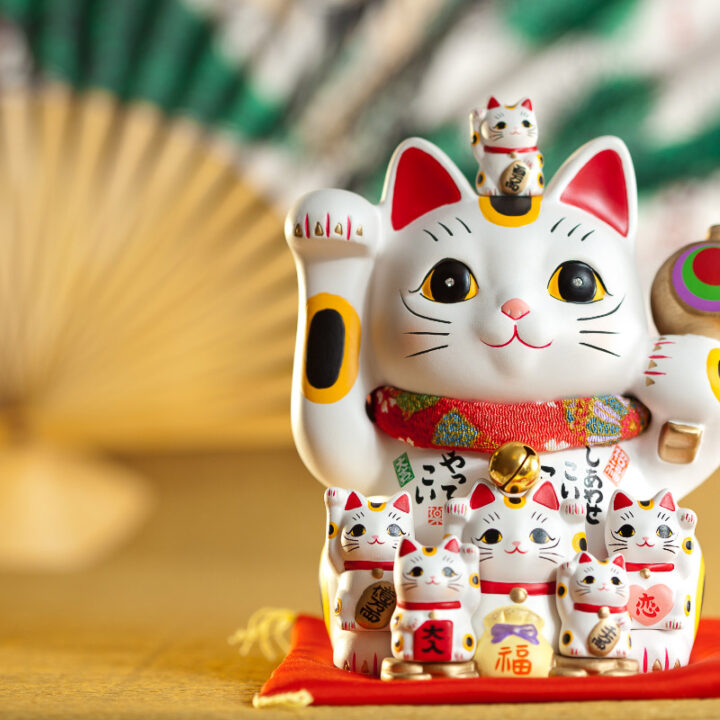 13 Japanese Cat Names Inspired by Coloring, Anime and More I Discerning Cat