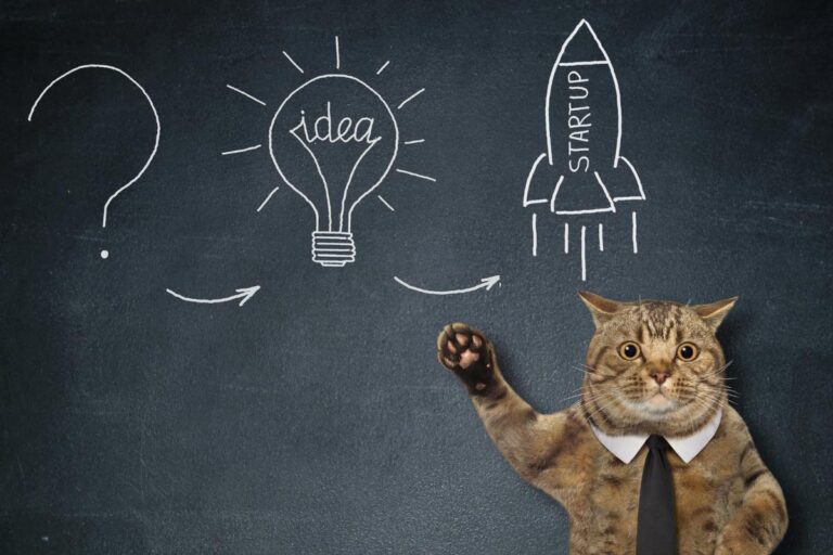 13 Best Scientist Cat Names for your Clever Kitty I Discerning Cat