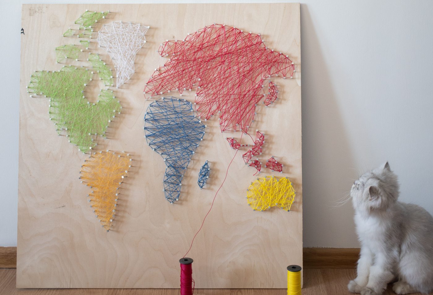 Why Do Cats Like String? (2022) 5 Reasons I Discerning Cat