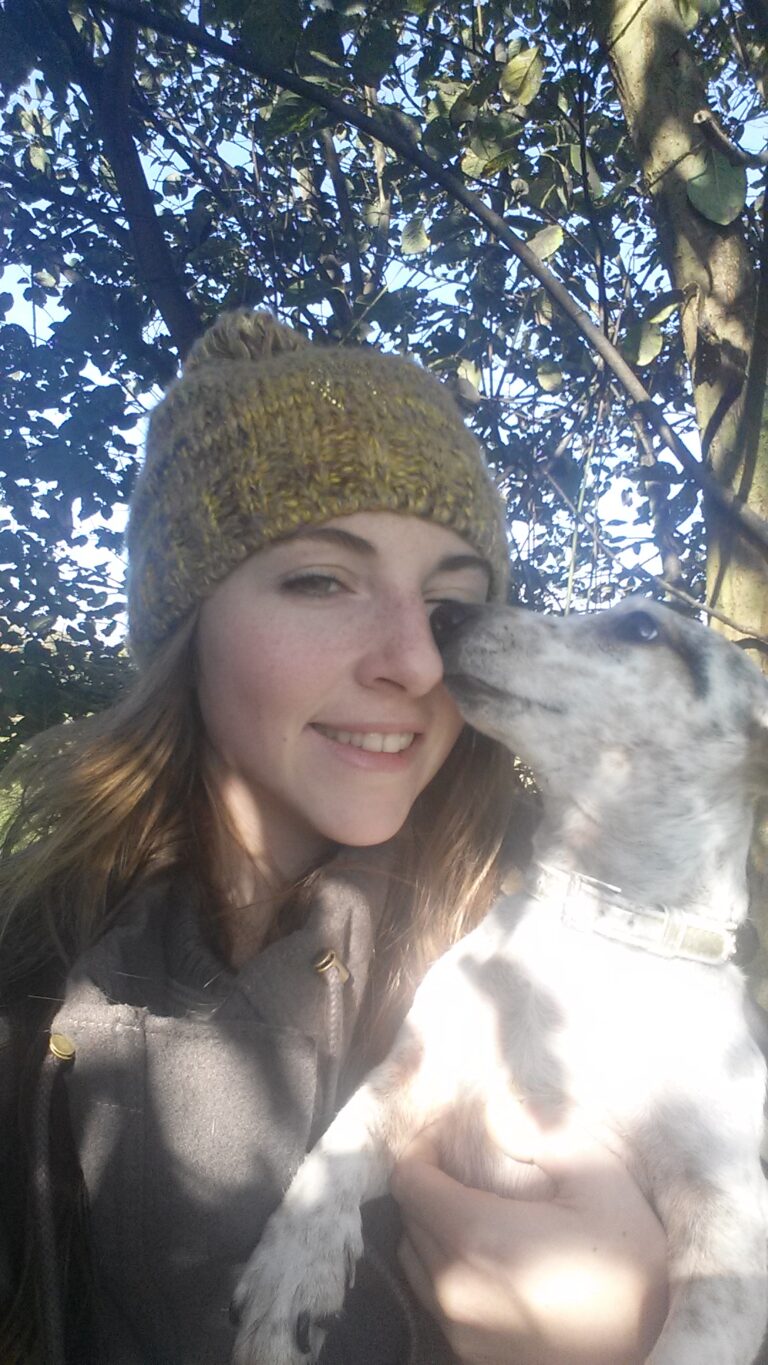 Why Do Cats Growl? (2023) 7 Reasons You Should Know I Discerning Cat